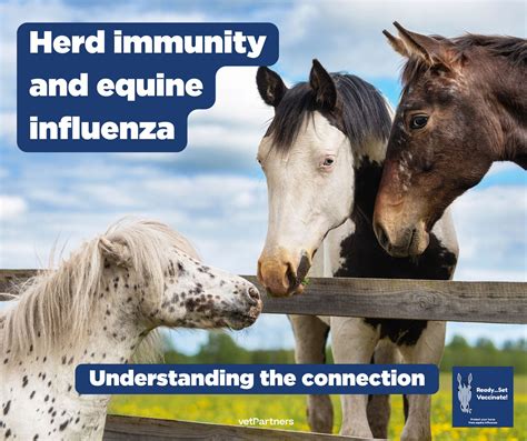 Tay Valley Veterinary Centre Equine Herd Immunity And Equine