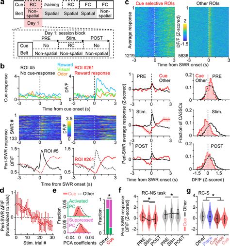 Suppressed Reactivation Of Task Irrelevant Sensory Information During Download Scientific