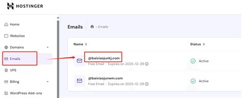 Hostinger 域名邮箱免费设置：只需几步，企业邮箱即刻拥有