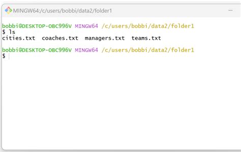 Bash How To Copy And Rename A File Collecting Wisdom