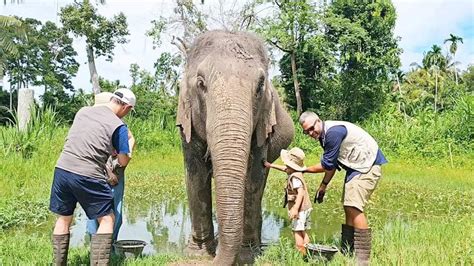 Half Day Program Welcome To Samui Tour And Travel 1982