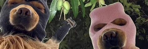 Bsanpessoasdev On Bluesky