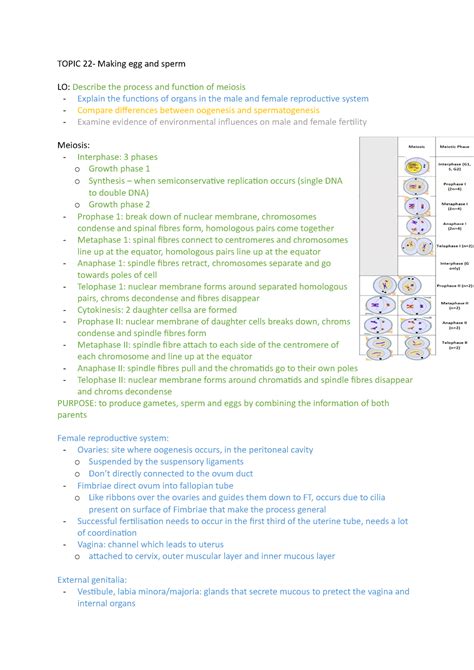 Meds Mod 5 22 23 24 Notes On Lecture 22 23 And 24 Topic 22