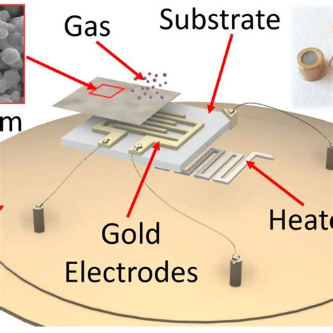 Sketch Of A Sensor The Film Reacting With The Gas Is Screen Printed Download Scientific
