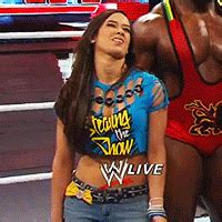 Wwe Archives Reaction Gifs