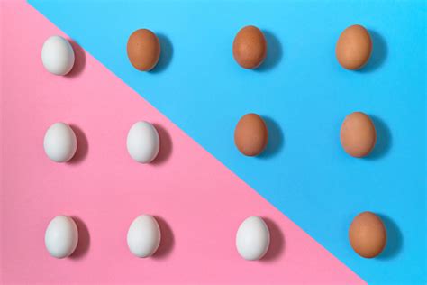 파란색과 분홍색 파스텔 배경에 흰색과 갈색 계란 복사 공간 종이 배경에 삶은 달걀은 두 가지 톤 색상으로 건강한 식품 개념 부활절 달걀 플랫 레이 상단 보기 0명에 대한