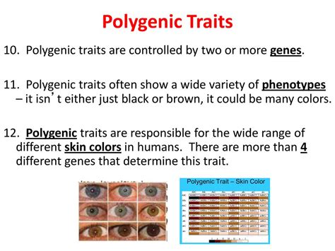 Modes Of Inheritance Biology Mrs Harper 1 25 Ppt Download