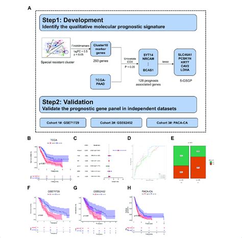 Construction Of A Diagnostic Model A The Flowchart For Development Download Scientific