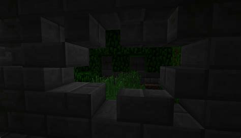 Torch Minecraft Map