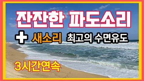 잔잔한 파도소리 수면영상 ㅣ새소리와함께 3시간ㅣ수면 파도소리ㅣ불면증치료 파도와새소리ㅣ마음이 편안해 지는 자연의 파도소리 ㅣ꿀잠들고 좋은꿈 꿀수 있는 편안한 파도소리 3시간