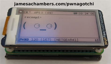 Pwnagotchi Wifi Audit Tool Build Guide Artofit