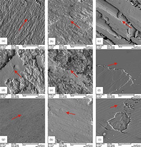Sem Micrographs Of Worn Surfaces Of Specimens A Normal Load Of 20 N