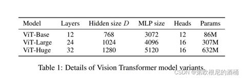 基于pytorch的视觉变换器 Vision Transformervit的介绍与应用pytorch Vit Csdn博客