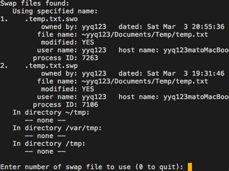 语虚 Vim学习笔记 交换文件swap