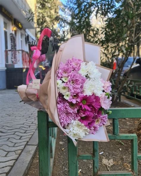 თაიგული Taiguli