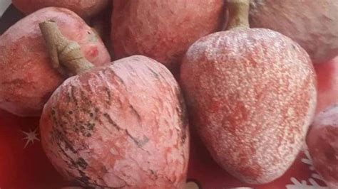 ¡los Increíbles Beneficios Del Mamon Para Tu Salud Tu Salud Es Vida