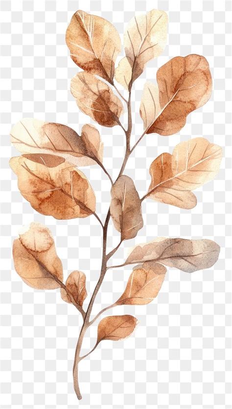 Png Mistletoe Leaf Art Illustration Premium Png Rawpixel