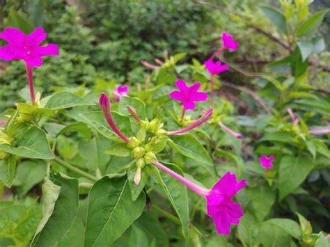 갤로퍼 Suv 5인승 승용차 주행중에 조인트 십자베어링 끼릭끼릭 소음소리 정비수리 작업기 네이버 블로그