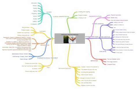 Urinary Incontinence Urinary Incontinence Coggle Diagram