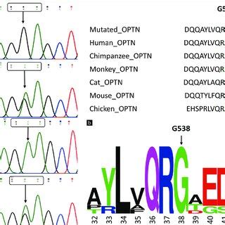 Sequencing And Comparative Analysis A Results Of Sanger Sequencing Download Scientific