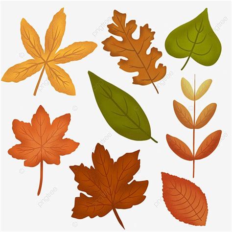 Eight Different Autumn Leaves Stickers Autumn Leaves Stickers Png