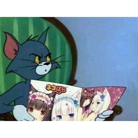 Sticker Maker Downloaded Pics Dump