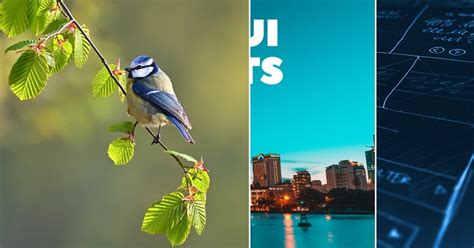 list javascript stuff curated by aakash jha medium