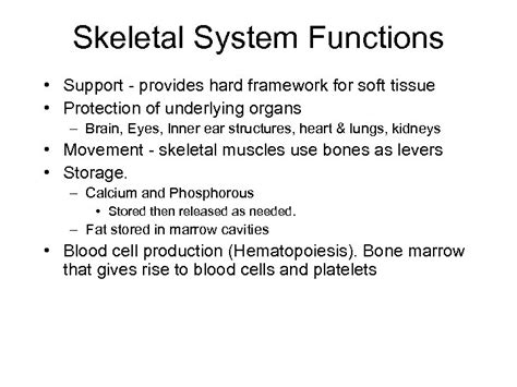 Chapter Skeletal System Bones And Bone Tissue