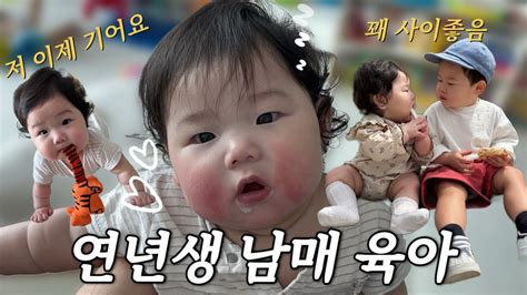 Vlog 본격 네발기기 시작한 7개월과 말이 점점 느는 24개월 연년생 남매 육아 브이로그👶 Youtube