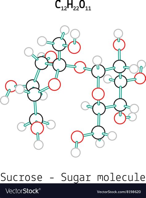 Sucrose Structure Simple