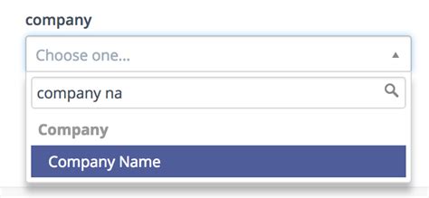 How To Import Company Fields Webmecanik