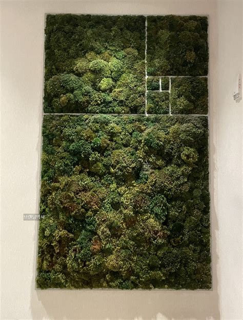 바이오필리아와 바이오필릭 디자인