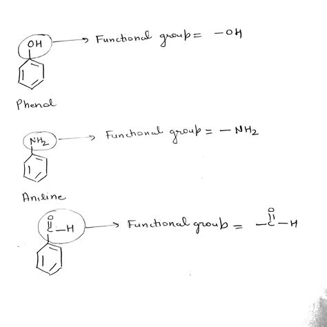Solved Identify The Functional Groups Alkane Alkene Alkyne