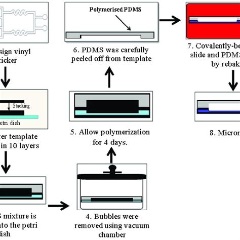 Micromixer Fabrication Process 23 Dilution And Mixing The Two Download Scientific Diagram