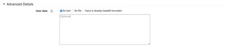 spring boot application on ec2 zoltan altfatter software engineer