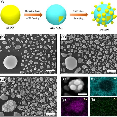 finite difference time domain fdtd simulation of em field