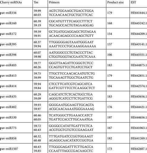 Forward And Reverse Primers For Cherry Mirnas Designed Against