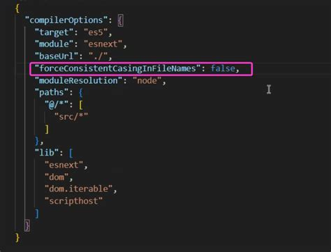 Vue 에러 Already Included File Name