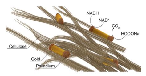 Figure Mapping Ignorance