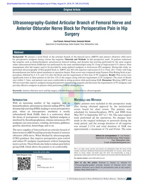 Pdf Ultrasonography Guided Articular Branch Of Femoral Nerve And