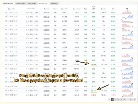 KING ROBOT EA V MT WITH SETFILE FOR BUILD ShopForexEA Com
