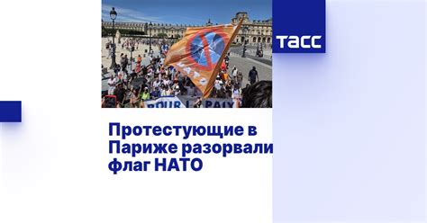 Протестующие в Париже разорвали флаг НАТО