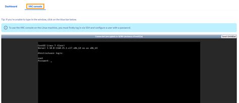 Become The Root User And Select A Password Support Guides