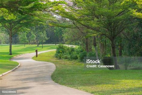 골프 코스 측면에 있는 녹색 잔디 밭에서 공원에서 달리기 또는 산책을 위한 통로와 아름다운 나무 트랙 오솔길에 대한 스톡 사진 및 기타 이미지 Istock
