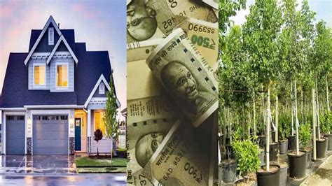 Movable and Immovable Property அசயம அசய சததகள கறதத சல மககய தகவலகள