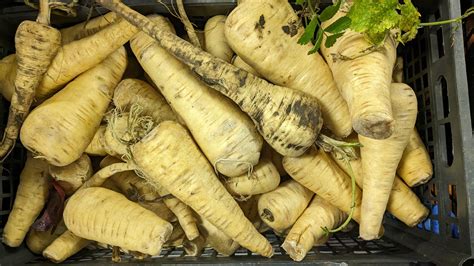 Warm Up This Winter With A Spiced Celeriac Parsnip And Cauliflower Soup A Cosy Recipe By