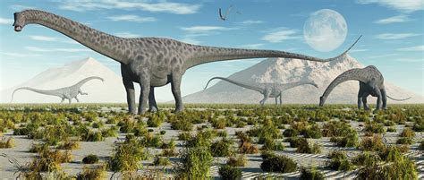 Years Of Ancient Times Ancient Dinosaurs In The Bible The Behemoth