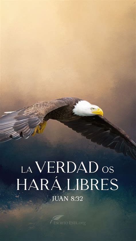 300 Imágenes Bíblicas En Hd Para Tu Fondo De Pantalla Bible Images