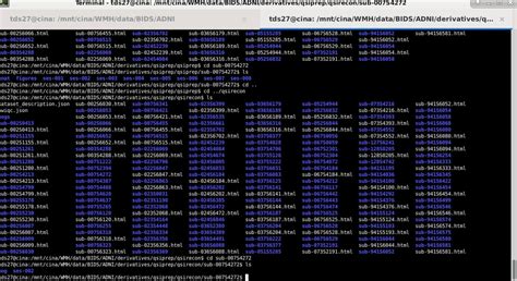 QSIprep Reconstruction Want To Make Sure Output Files Are Correctly Reconstructed Software