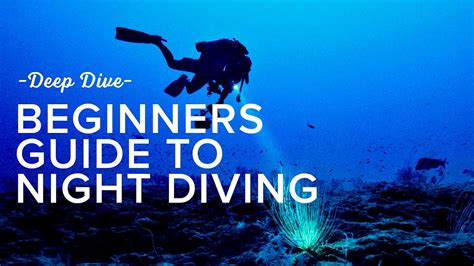 Beginners Guide To Night Diving | Deep Dive - YouTube